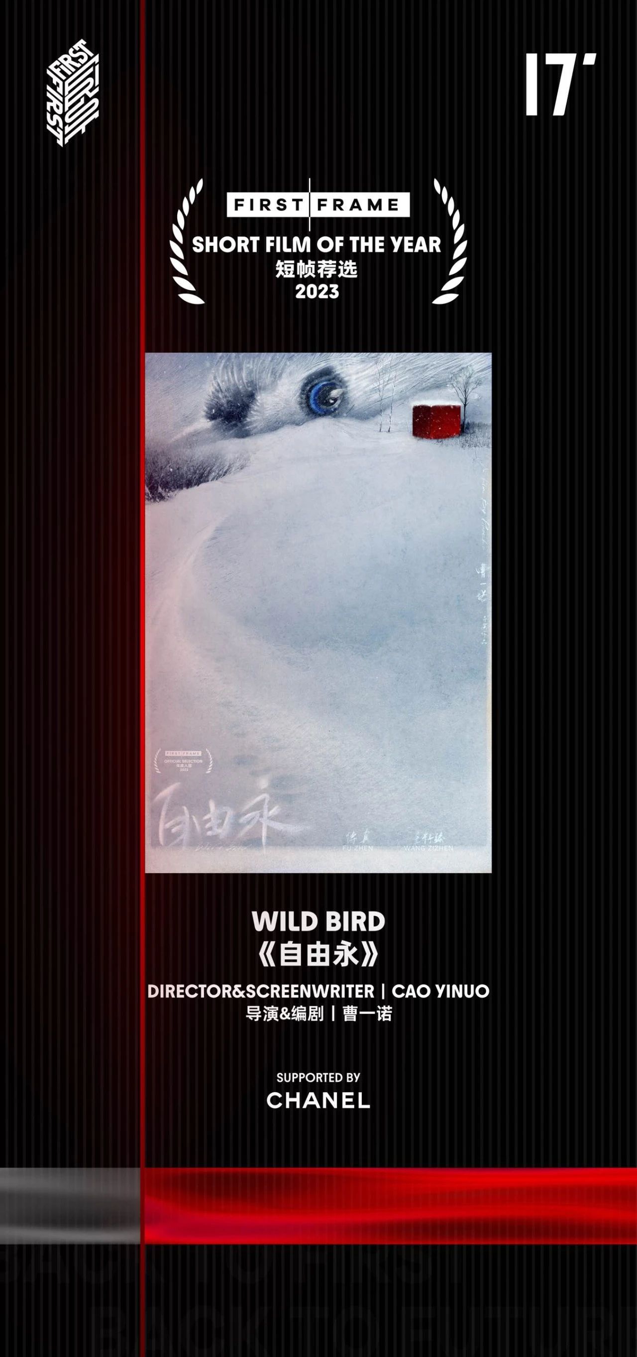 FIRST FRAME丨在广阔森林中寻找“第一帧” – FIRST影展 · 西宁青年/惊喜