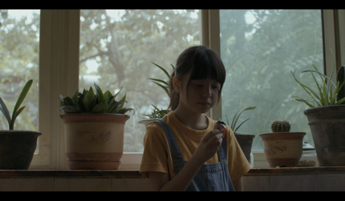 The First Taste – FIRST影展 · 西宁青年/惊喜